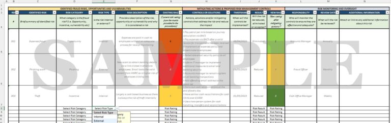 Risk Assessment for Fraud Vulnerabilities